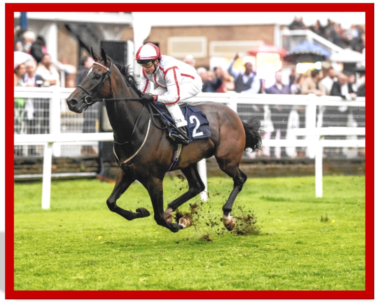 DUE TO HENRY - FABULOUS THIRD WIN OF THE SEASON - HP Racing