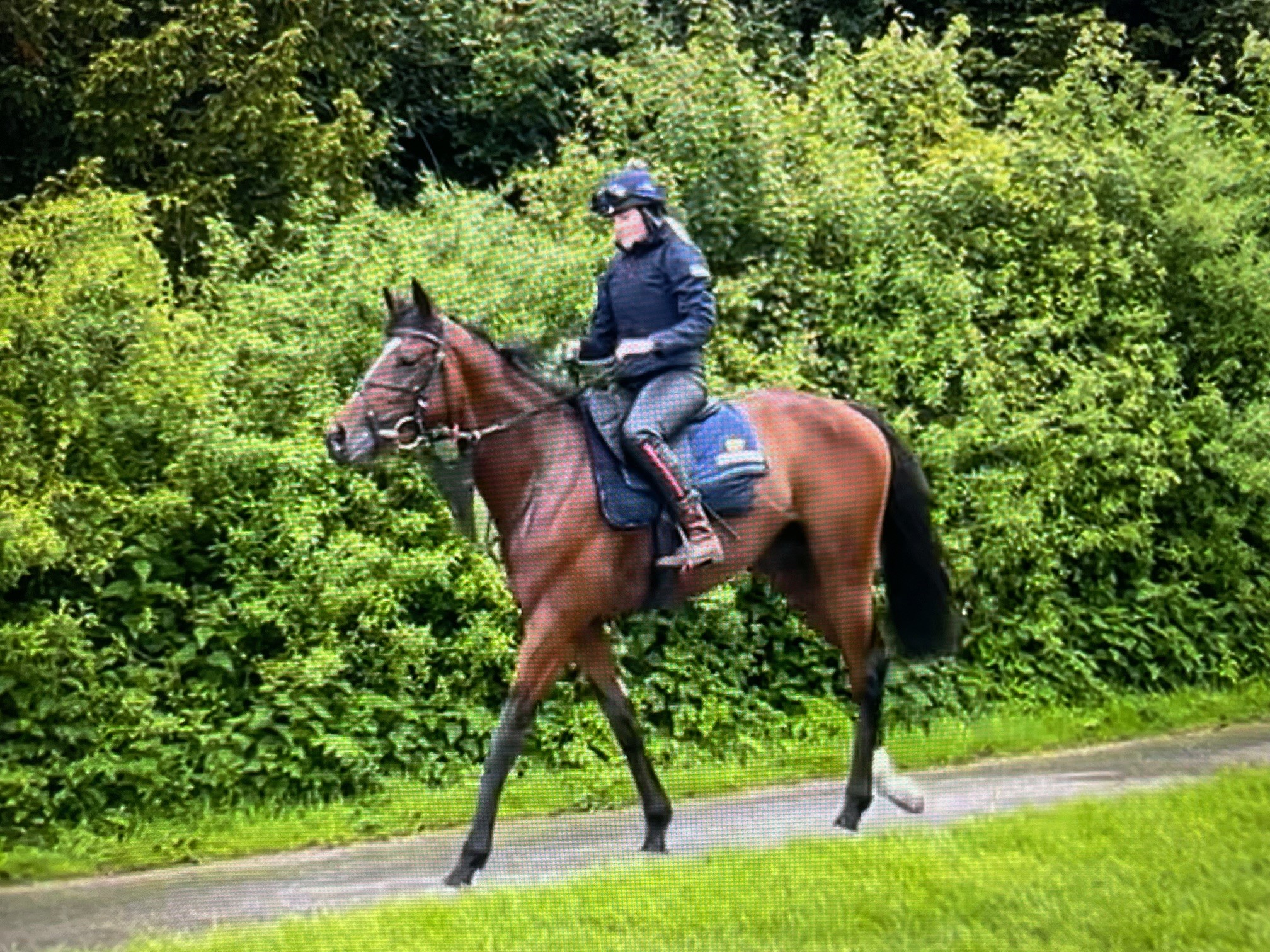 HP Racing - Pioneers Of Horse Racing Syndicates