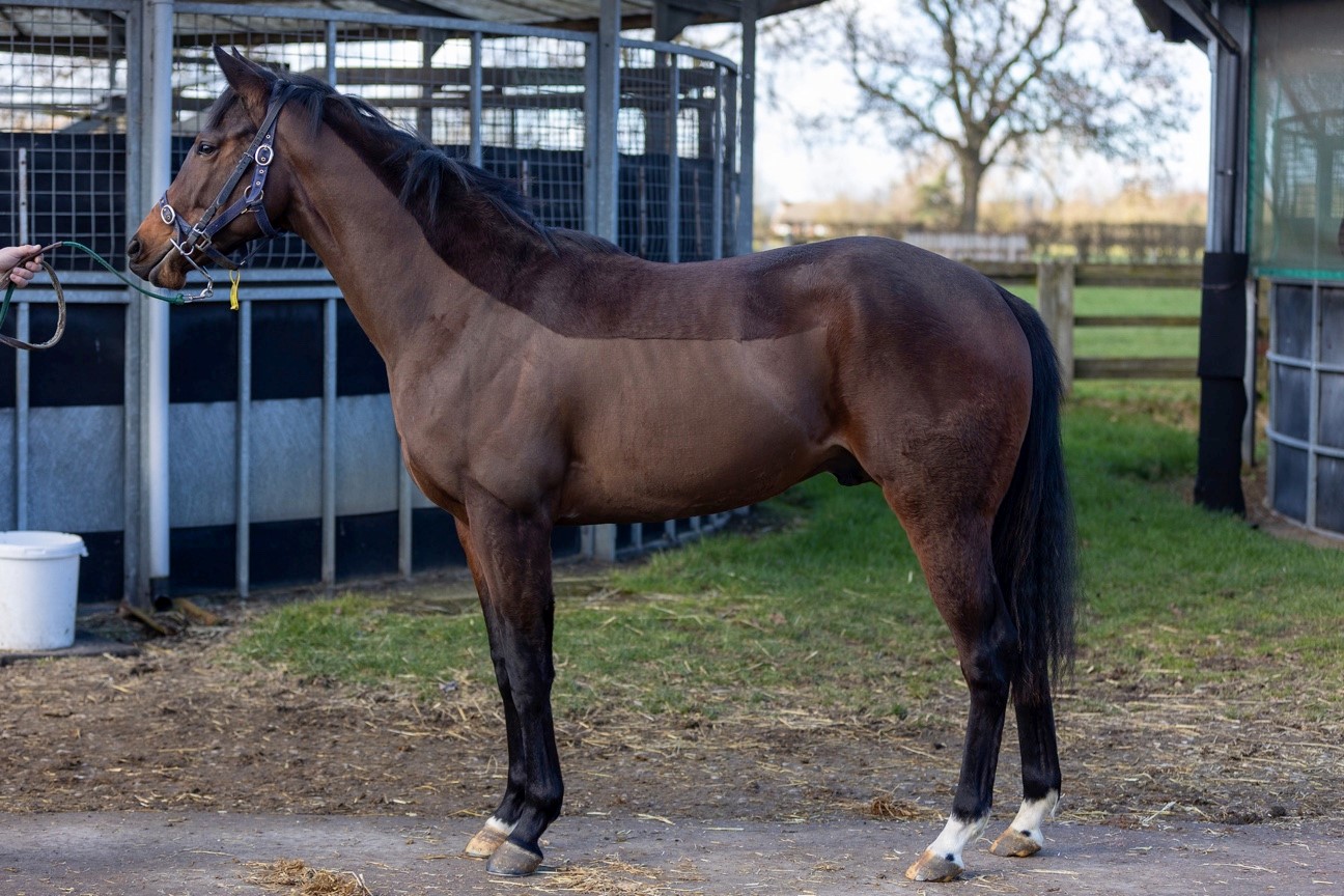 STASH THE CASH - HP Racing