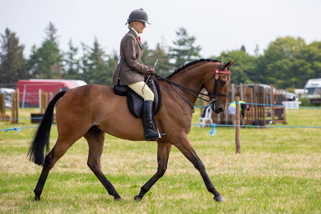 Latest News - HP Racing