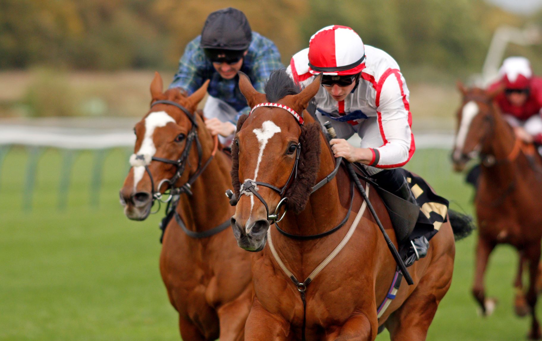 MOUNT OLYMPUS - HP Racing