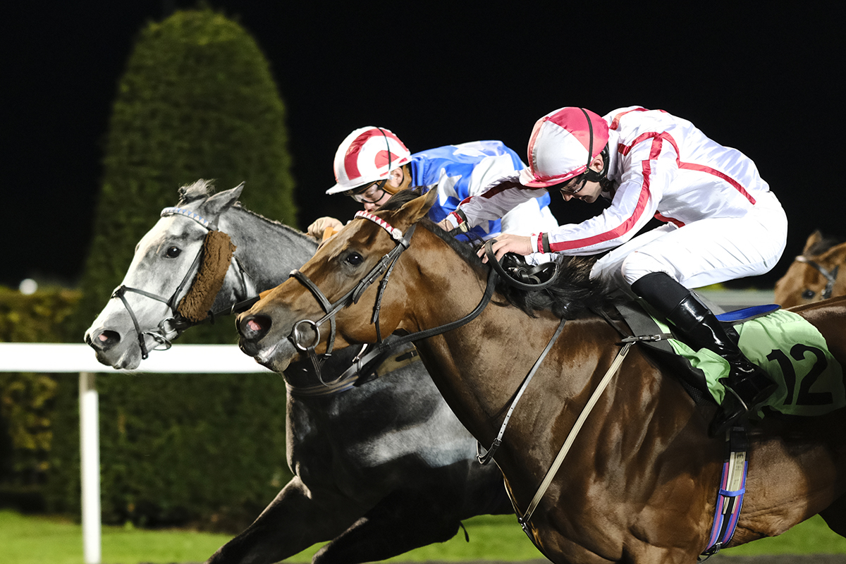 THE PRINCES POET VICTORY AT KEMPTON - HP Racing