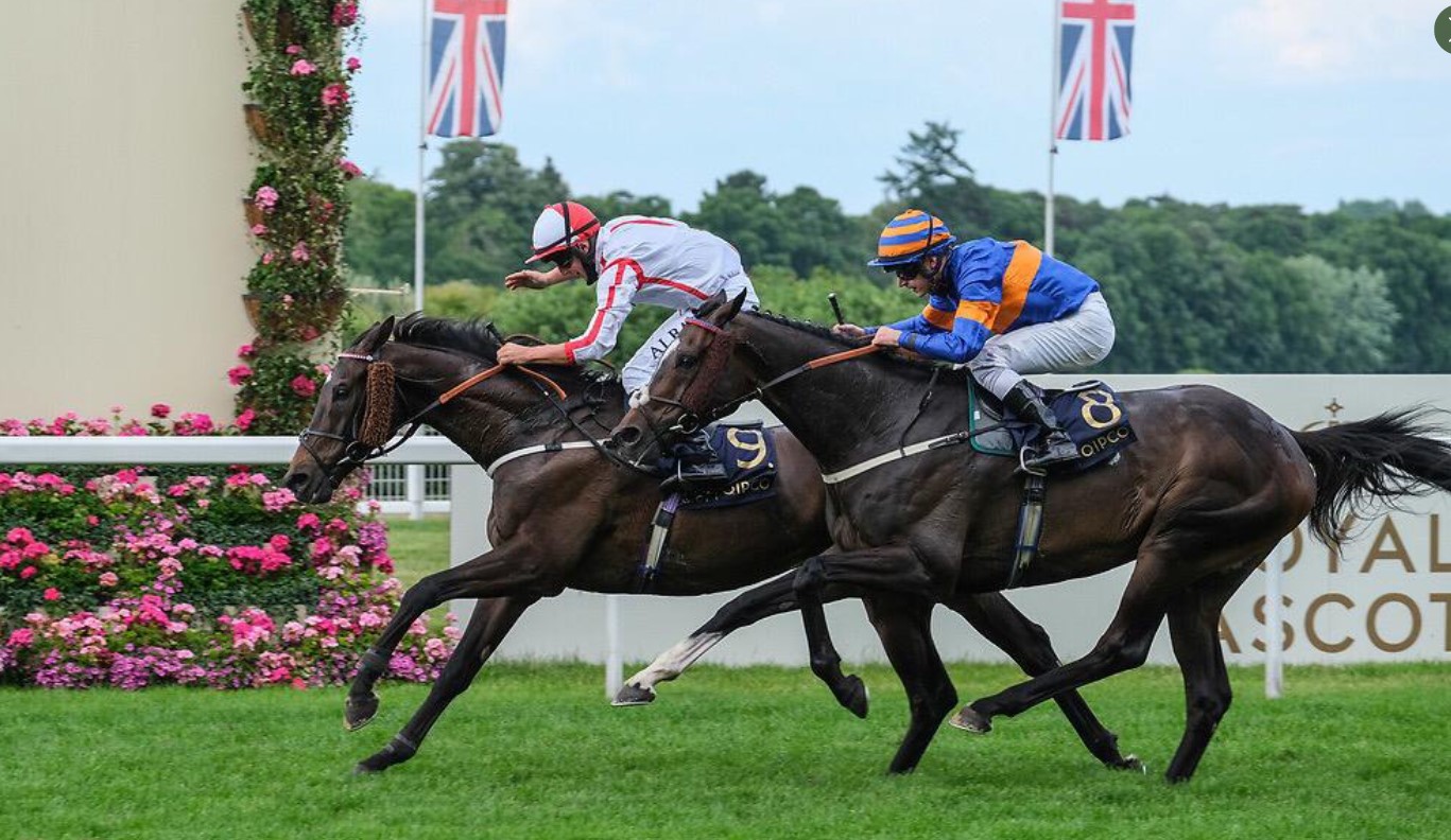 WHO DARES WINS - HP Racing - Hall of Fame